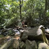 Judd Trail, Oahu, Hawaii - 2,844 Reviews, Map | AllTrails