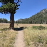 Big Meadow to Round Lake, California - 871 Reviews, Map | AllTrails