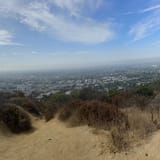 Runyon Canyon Trail, California - 8,257 Reviews, Map | AllTrails