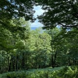 Mount Greylock via Bellows Pipe Trail, Massachusetts - 2,510 Reviews ...