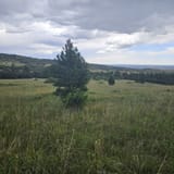 Cheyenne Mountain via Talon and Dixon Trail, Colorado - 819 Reviews ...