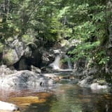 Basin Cascade Trail, New Hampshire - 2,299 Reviews, Map | AllTrails
