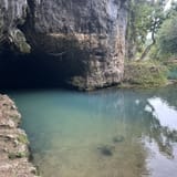 Cave Spring Loop Trail, Missouri - 401 Reviews, Map | AllTrails