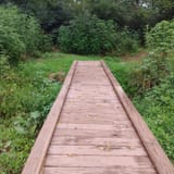 Speedwell Forge Hiking Trail, Pennsylvania - 1,196 Reviews, Map | AllTrails
