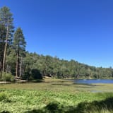 Jenks Lake Trail, California - 1,104 Reviews, Map | AllTrails