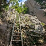 Crane Mountain Loop Hike, New York - 1,396 Reviews, Map | AllTrails