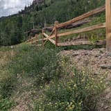 Telluride River Trail, Colorado - 1,257 Reviews, Map | AllTrails