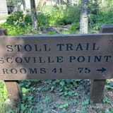 Scoville Point via Stoll Trail, Michigan - 475 Reviews, Map | AllTrails