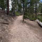 Bryce Point to Sunset Point Trail, Utah - 1,153 Reviews, Map | AllTrails