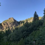 Neff's Canyon Loop, Utah - 3,131 Reviews, Map | AllTrails