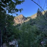 Neff's Canyon Loop, Utah - 3,131 Reviews, Map | AllTrails