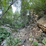 Neff's Canyon Loop, Utah - 3,131 Reviews, Map | AllTrails
