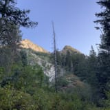 Neff's Canyon Loop, Utah - 3,069 Reviews, Map | AllTrails