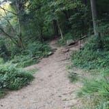 Henderson Park Loop, Georgia - 1,909 Reviews, Map | AllTrails