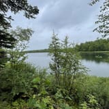 Talkeetna Lake Trail, Alaska - 776 Reviews, Map | AllTrails