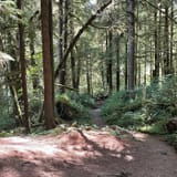 Quinault Loop, Washington - 2,017 Reviews, Map | AllTrails