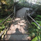 Granite Falls (Fish Ladder) Trail, Washington - 647 Reviews, Map ...