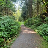 Granite Falls (Fish Ladder) Trail, Washington - 647 Reviews, Map ...