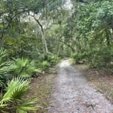 Guana Trail, Marshview Lane, and Shellbluff Road, Florida - 286 Reviews ...