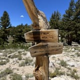 Chicken Spring Lake via Cottonwood Pass Trail, California - 418 Reviews ...