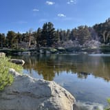 Chicken Spring Lake via Cottonwood Pass Trail, California - 418 Reviews ...