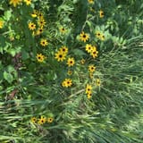 White River Greenway Loop, Indiana - 87 Reviews, Map | AllTrails