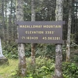 Magalloway Mountain, New Hampshire - 518 Reviews, Map | AllTrails