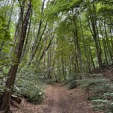 Kinver Edge Circular, West Midlands, England - 745 Reviews, Map | AllTrails