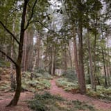 Kinver Edge Circular, West Midlands, England - 745 Reviews, Map | AllTrails