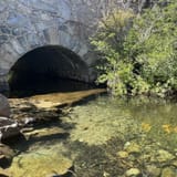 Eagle Falls Vista Point Loop, California - 1,692 Reviews, Map | AllTrails