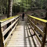 Stevens Glen Trail, Massachusetts - 402 Reviews, Map | AllTrails