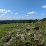 Black Ridge Trail, Virginia - 655 Reviews, Map | AllTrails