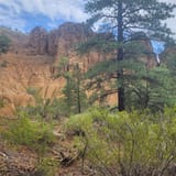 Red Mountain Trail, Arizona - 1,010 Reviews, Map | AllTrails