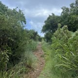 Lind Point Trail to Honeymoon Beach, Saint John, US Virgin Islands ...
