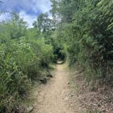 Lind Point Trail to Honeymoon Beach, Saint John, US Virgin Islands ...