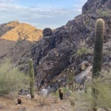 Freedom Trail (#302), Arizona - 4,512 Reviews, Map | AllTrails