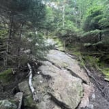 Mount Adams via Air Line Trail, New Hampshire - 763 Reviews, Map ...
