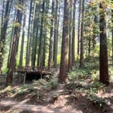 Washington Park Loop, Oregon - 1,956 Reviews, Map | AllTrails