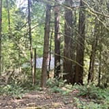 Washington Park Loop, Oregon - 1,956 Reviews, Map | AllTrails