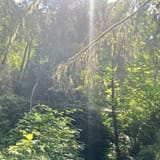 Washington Park Loop, Oregon - 1,956 Reviews, Map | AllTrails