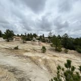 Ute Valley Park Loop Trail, Colorado - 2,804 Reviews, Map | AllTrails