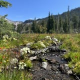 Gray Butte Trail, California - 322 Reviews, Map | AllTrails