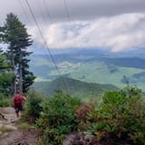Mount Mitchell Trail, North Carolina - 2,710 Reviews, Map | AllTrails