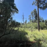 See Spring Trail, Arizona - 873 Reviews, Map | AllTrails