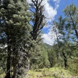 See Spring Trail, Arizona - 873 Reviews, Map | AllTrails