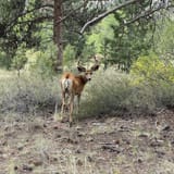 Gem Lake Trail and Lumpy Ridge Loop, Colorado - 2,243 Reviews, Map ...