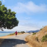 Angel Island Perimeter Loop, California - 2,065 Reviews, Map | AllTrails