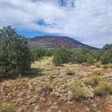 Red Mountain Trail, Arizona - 1,010 Reviews, Map | AllTrails