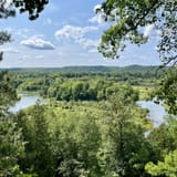 The Manistee River Loop Trail, Michigan - 2,065 Reviews, Map | AllTrails