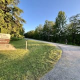 The Manistee River Loop Trail, Michigan - 2,065 Reviews, Map | AllTrails